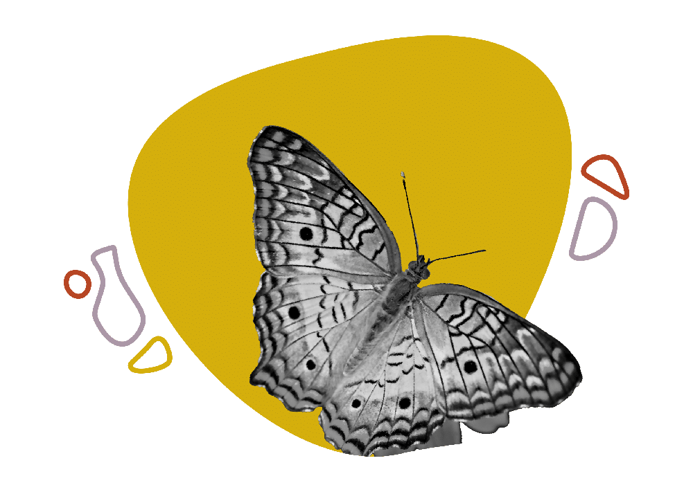 HOW - Learning - Full Version - UNGP - Foresight Project